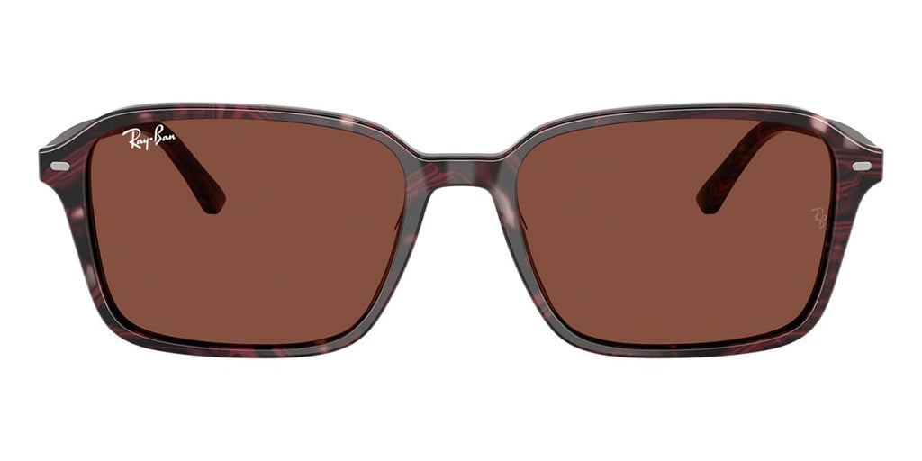 Ray-Ban Raimond RB 2231 1416/C5 Sunglasses - US