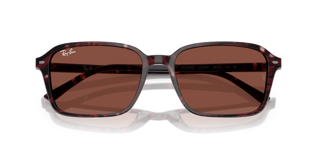 Ray-Ban Raimond RB 2231 1416/C5 Sunglasses - US