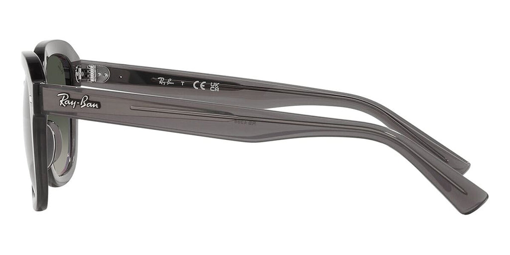 Ray-Ban Erik RB 4398 6675/71 Sunglasses - US