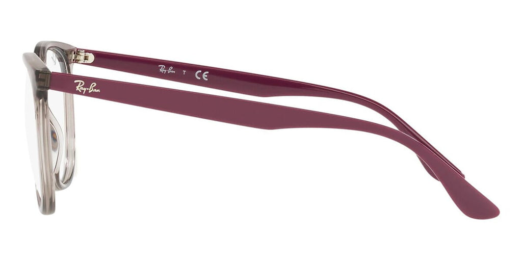 Ray-Ban RB 4378V 8083 Glasses - US